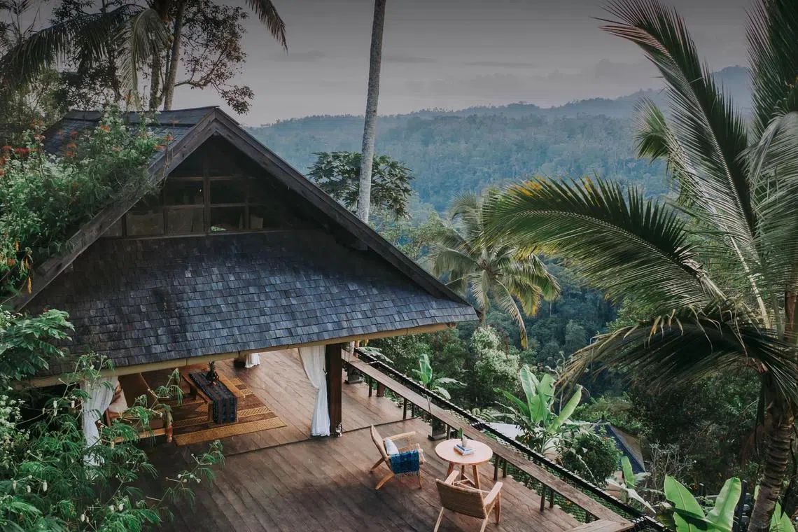 Banyan Tree Buahan Review: Open forest villas from $2,000 in Bali ...