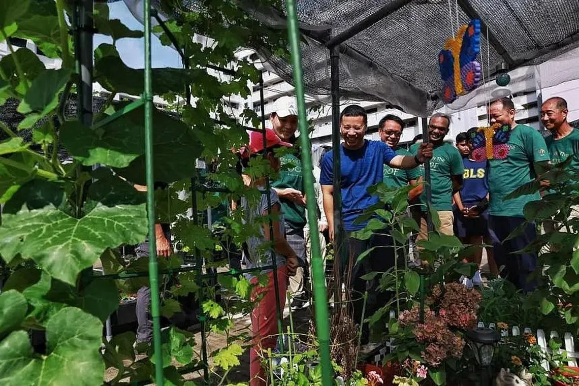HDB Rooftop Farming: Jurong's first HDB carpark garden is free! | Home ...