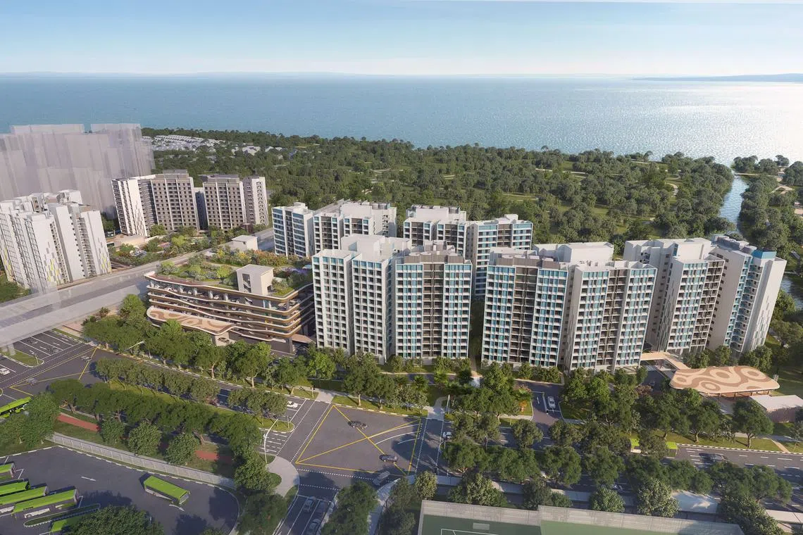 Costa Riviera I & II BTO Review: Next door to Pasir Ris Park and the ...