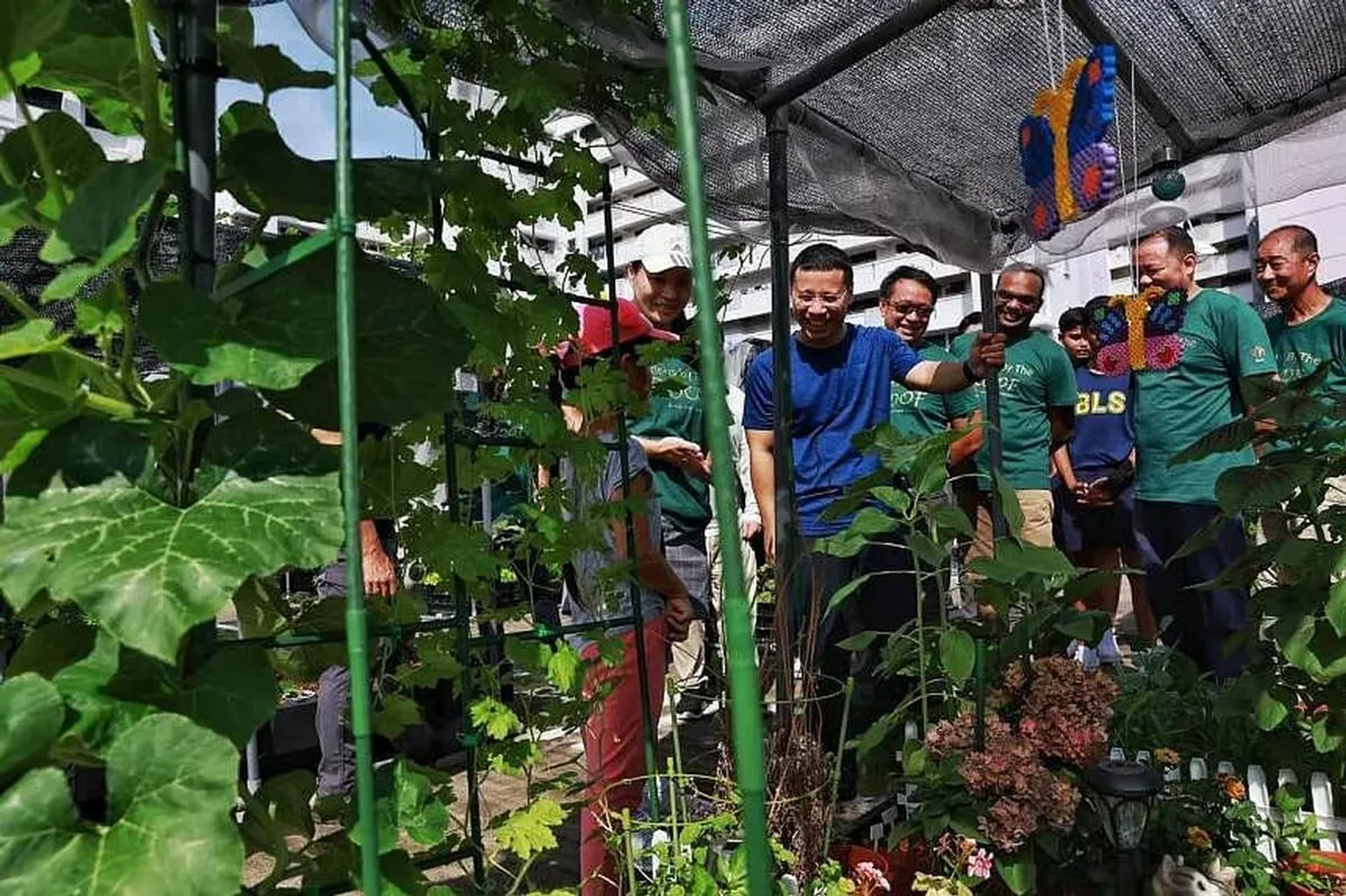 HDB Rooftop Farming: Jurong's first HDB carpark garden is free! | Home ...