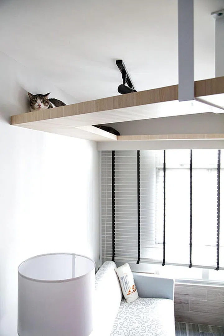 Home Tour: $105,000 Cat-friendly renovation for this colourful 4-room ...