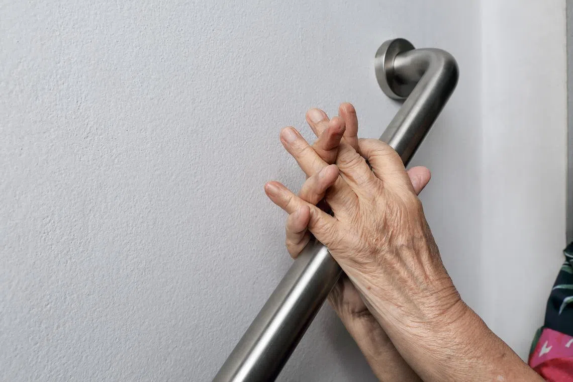 10 Best Grab Bar for Elderly (with Installation) | Home & Decor Singapore