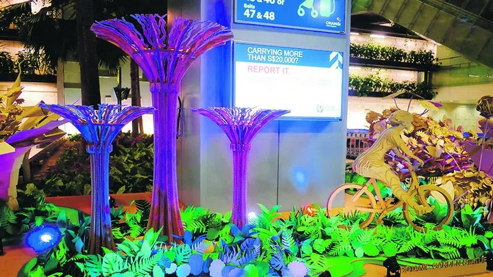 Paper Carpenter — local craftsman who designs structures using ...