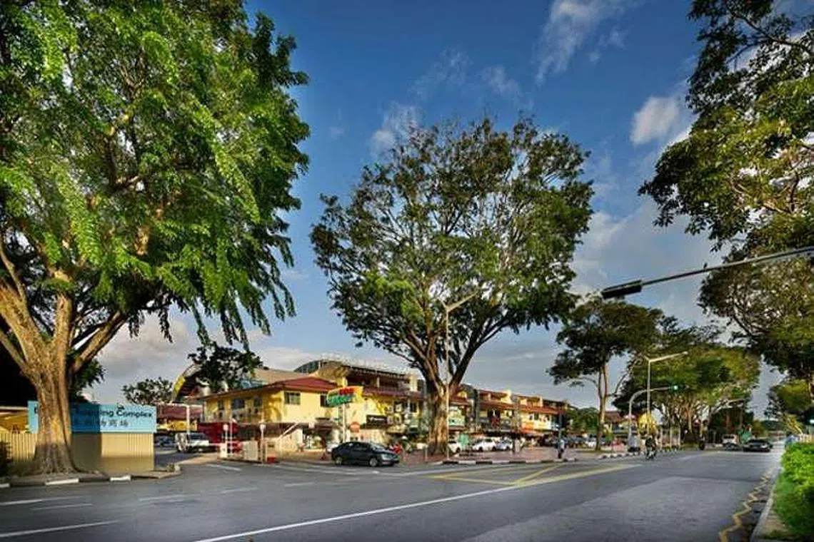 Bedok's Secret History: Albert Einstein visited Frankel Estate 1923 ...