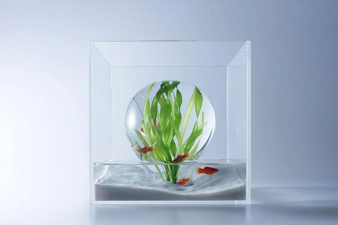 3D-printed fish tanks for the Minimalist in you - Home & Decor ...
