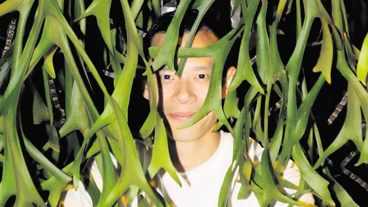 The Humid House Founder, John Lim: Floral arrangements you've never ...