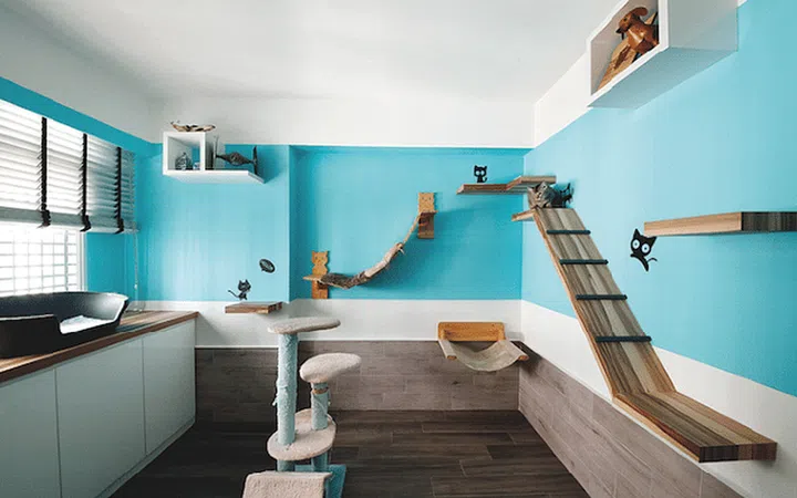 Living with cats: Top 3 concerns and how to keep your cats happy at ...