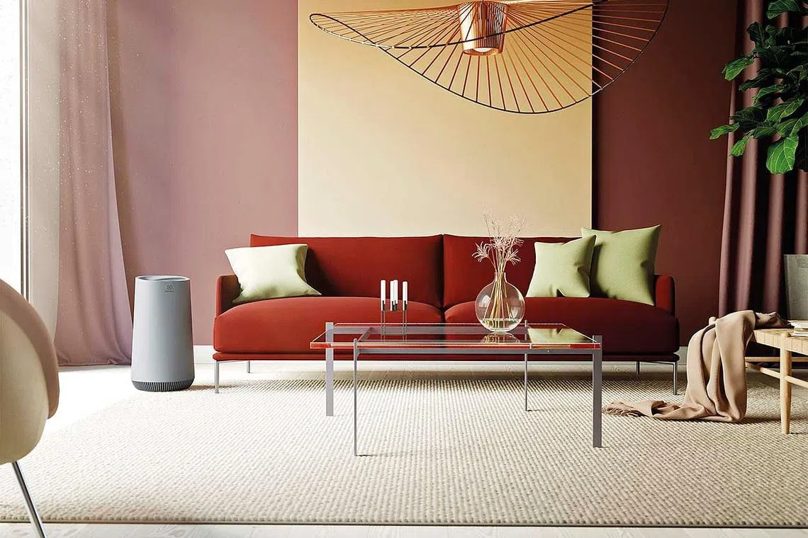 9 Home Essentials For Cleaning And Clearing The Air - Home & Decor ...