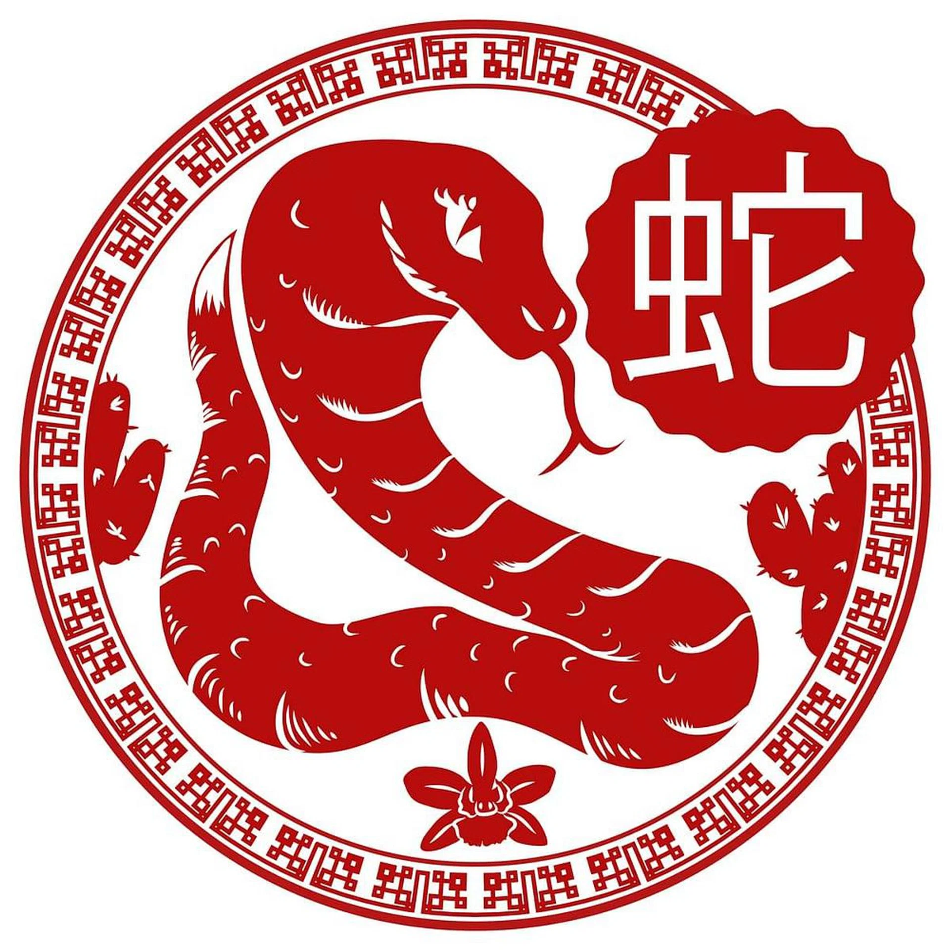 2019 Earth Pig forecast for those born in the year of the snake - Home ...