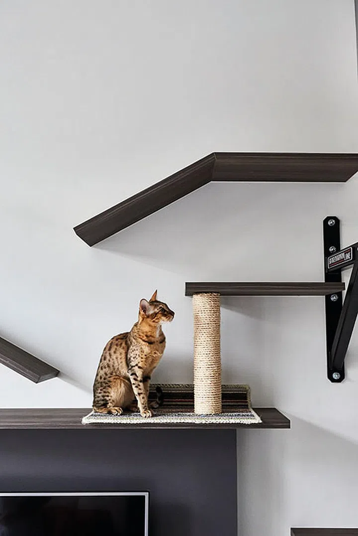 Cat-friendly, 2-bedroom micro condominium in Dairy Farm | Home & Decor ...