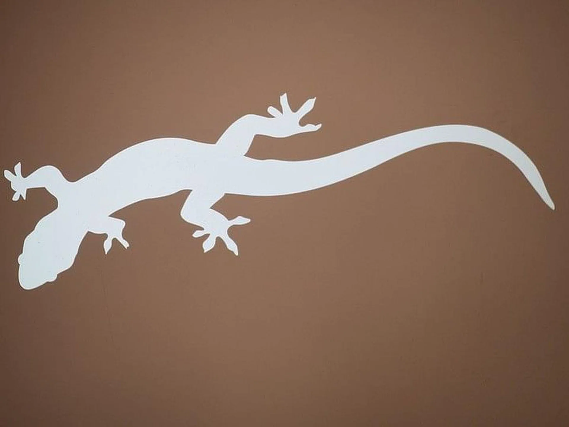 4 ways to prevent a lizard infestation at home - Home & Decor Singapore ...