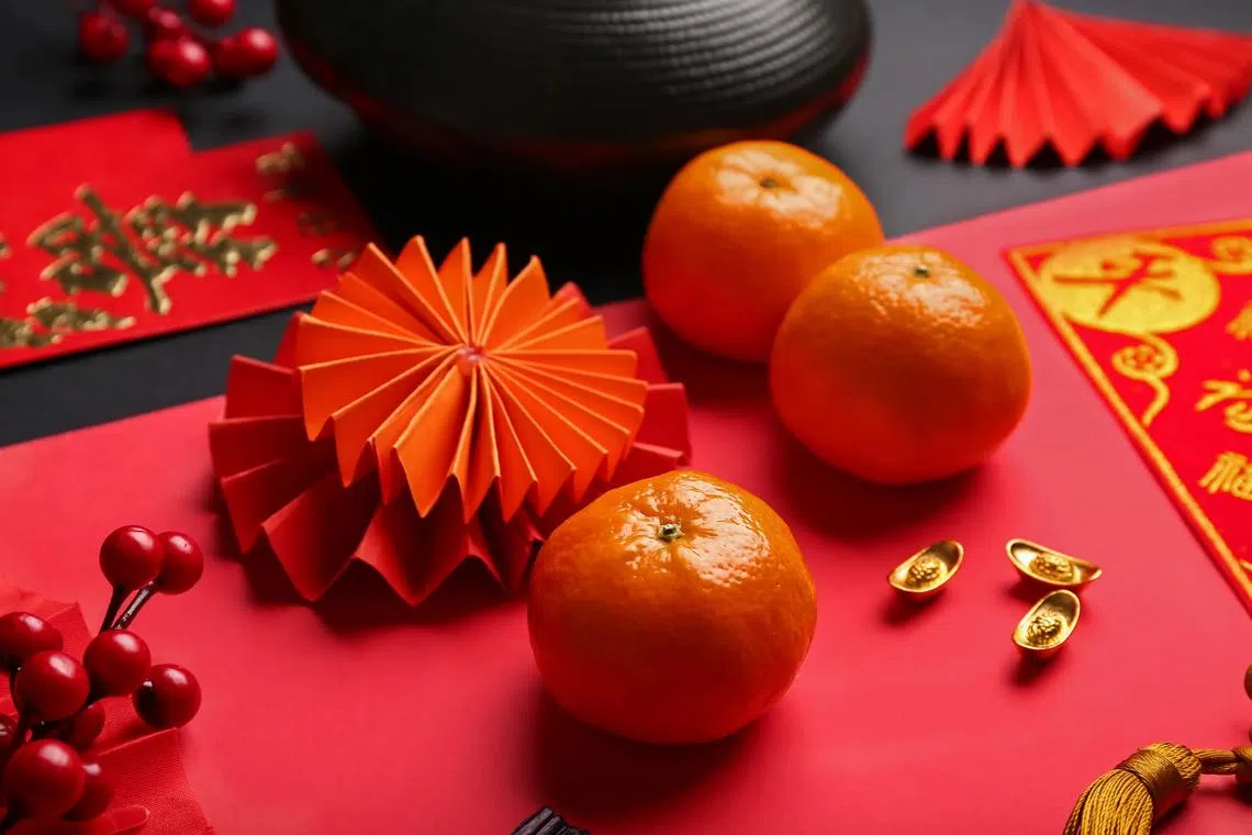 11 Types of Chinese New Year Mandarin Oranges | Home & Decor Singapore