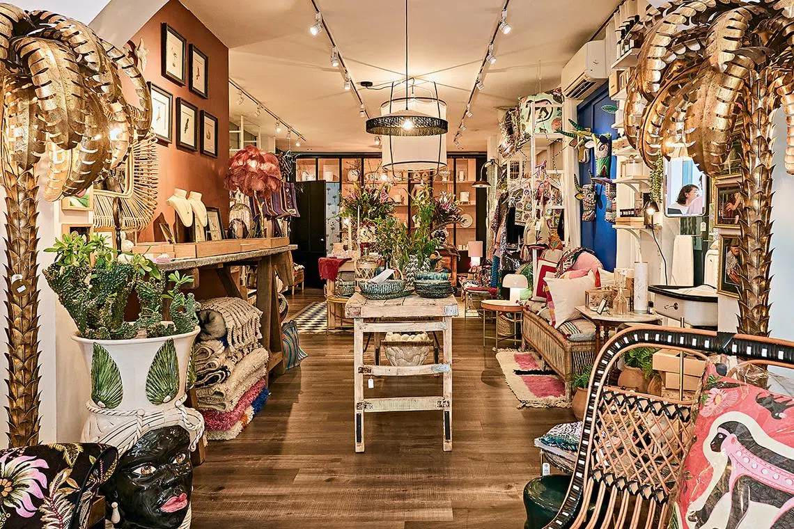 Tiger and Arcadia: Home decor shop founder Andrea wants you to ‘travel ...
