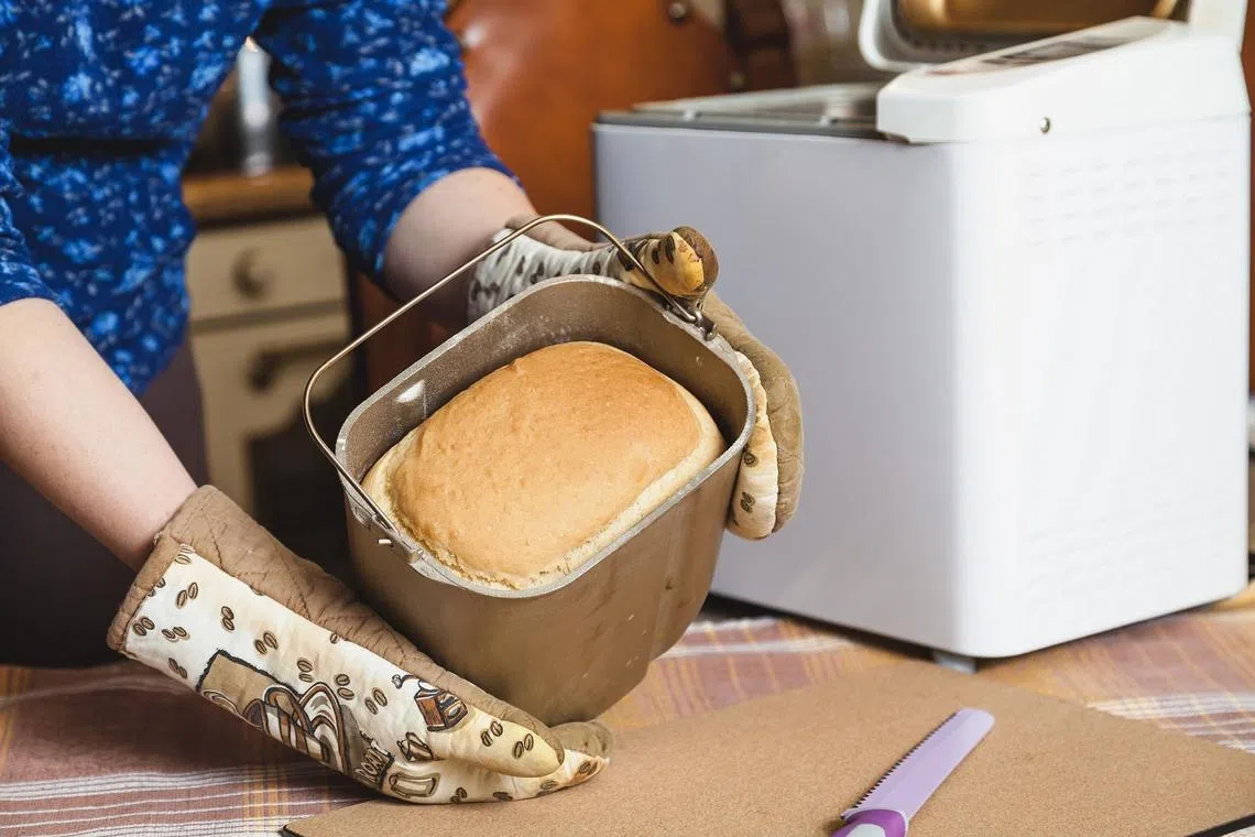 8 Best Bread Maker Machine: Panasonic, Zojirushi, Mayer | Home & Decor ...