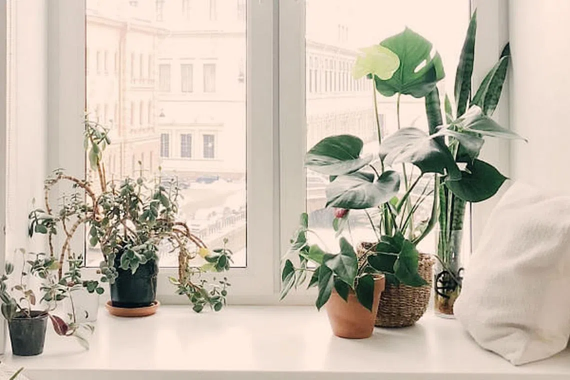 How to Make a Happier Home: 10 Habits for stress-free home | Home ...