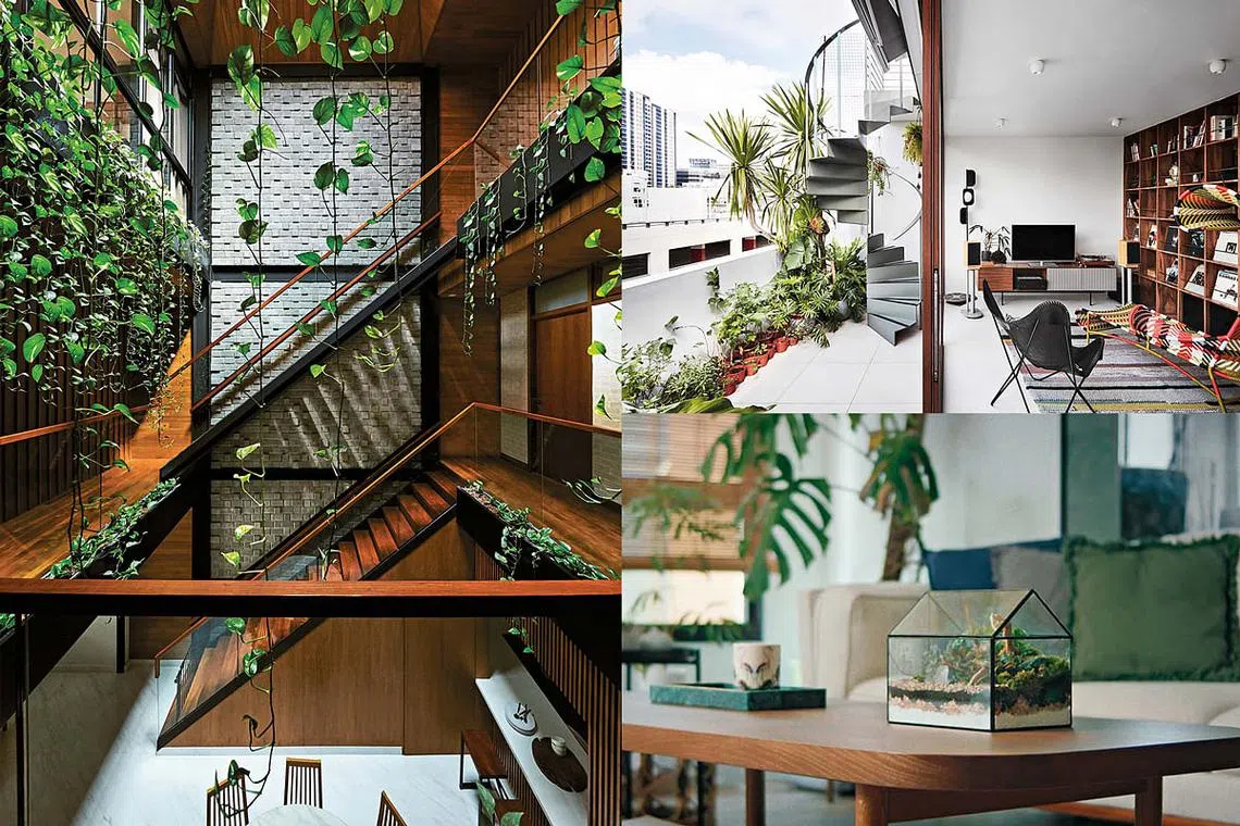 9 ways to DIY biophilic design into your home - Home & Decor Singapore ...