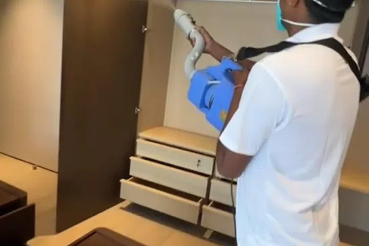 10 Formaldehyde Removal Services For Your Post-Reno Clean- Up