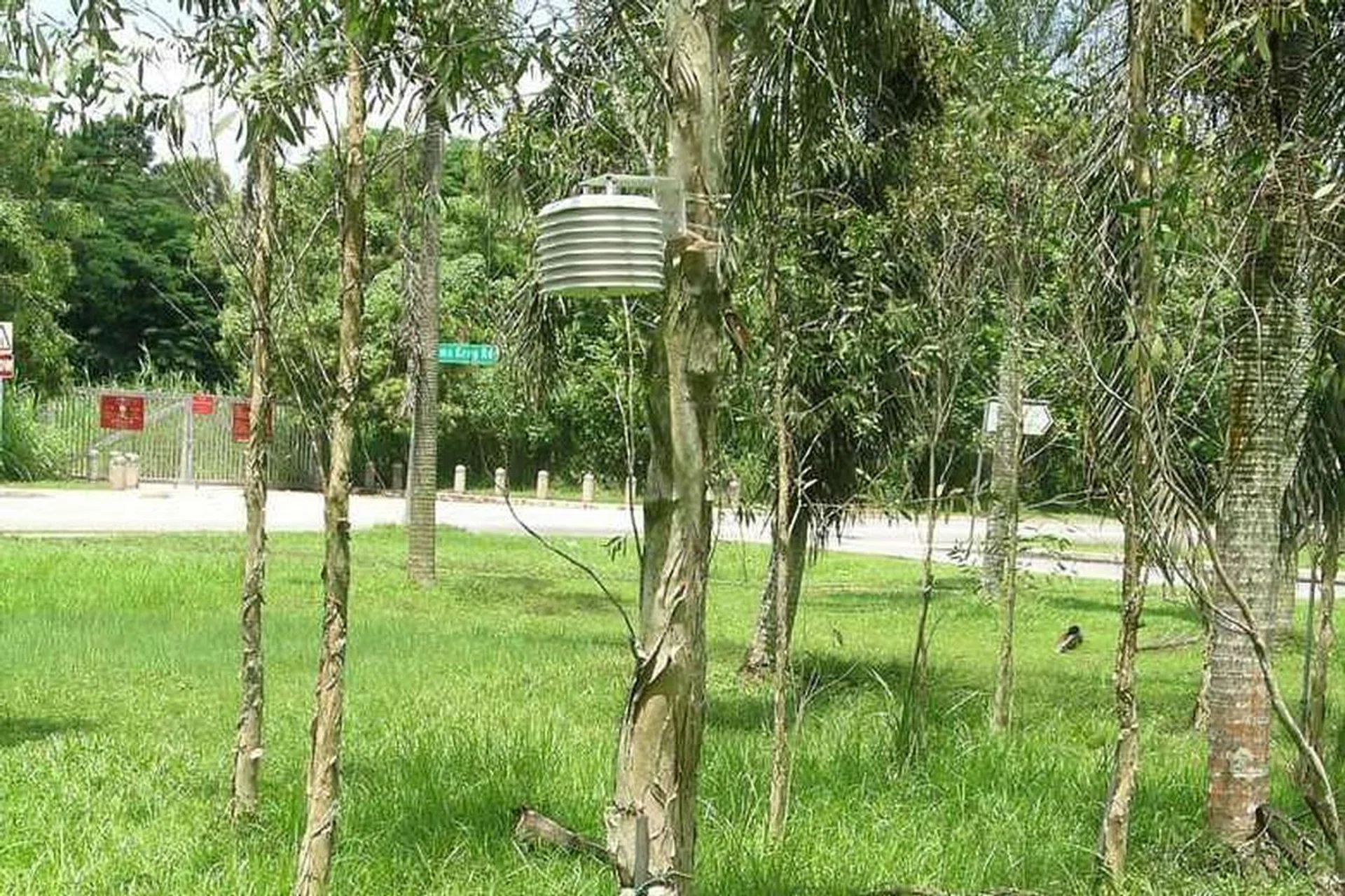 Live without air-conditioning? You can, if you live near trees! - Home ...