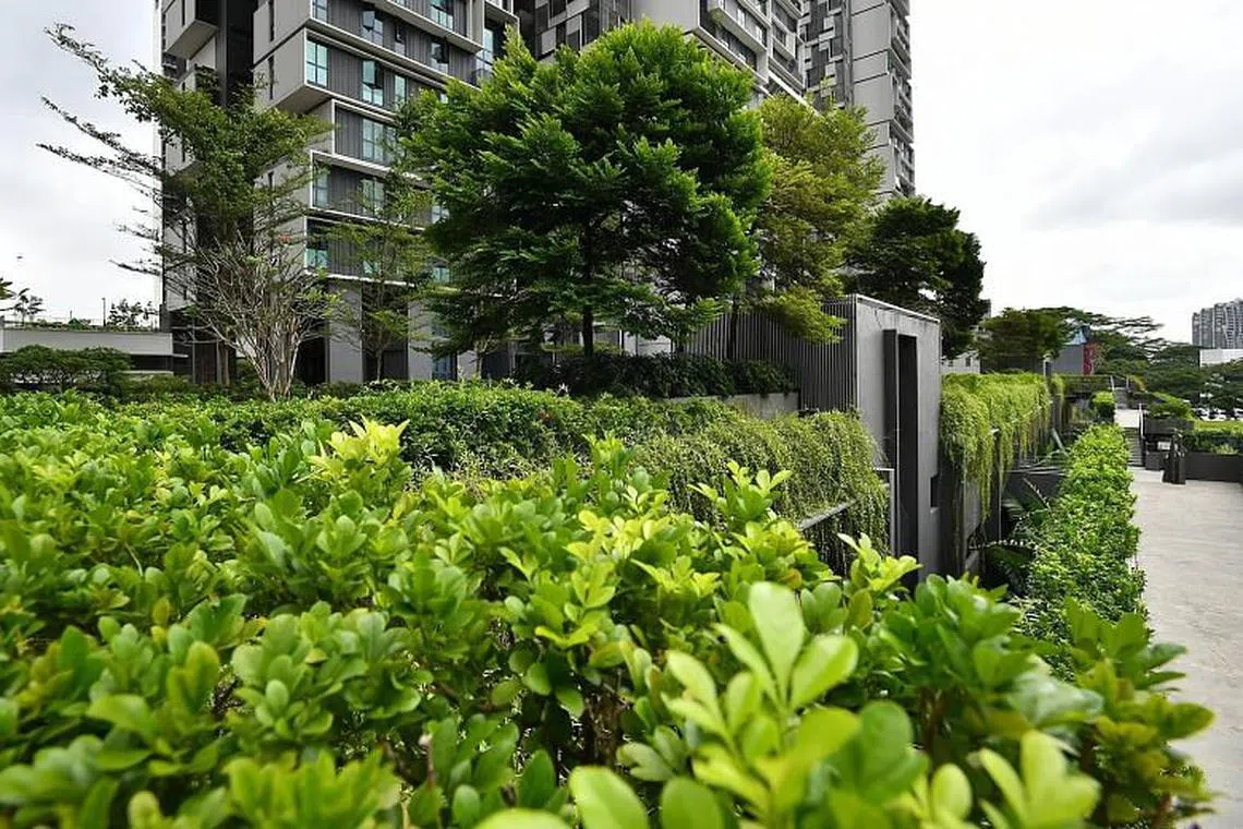New HDB estates to have more greenery - Home & Decor Singapore | Home ...