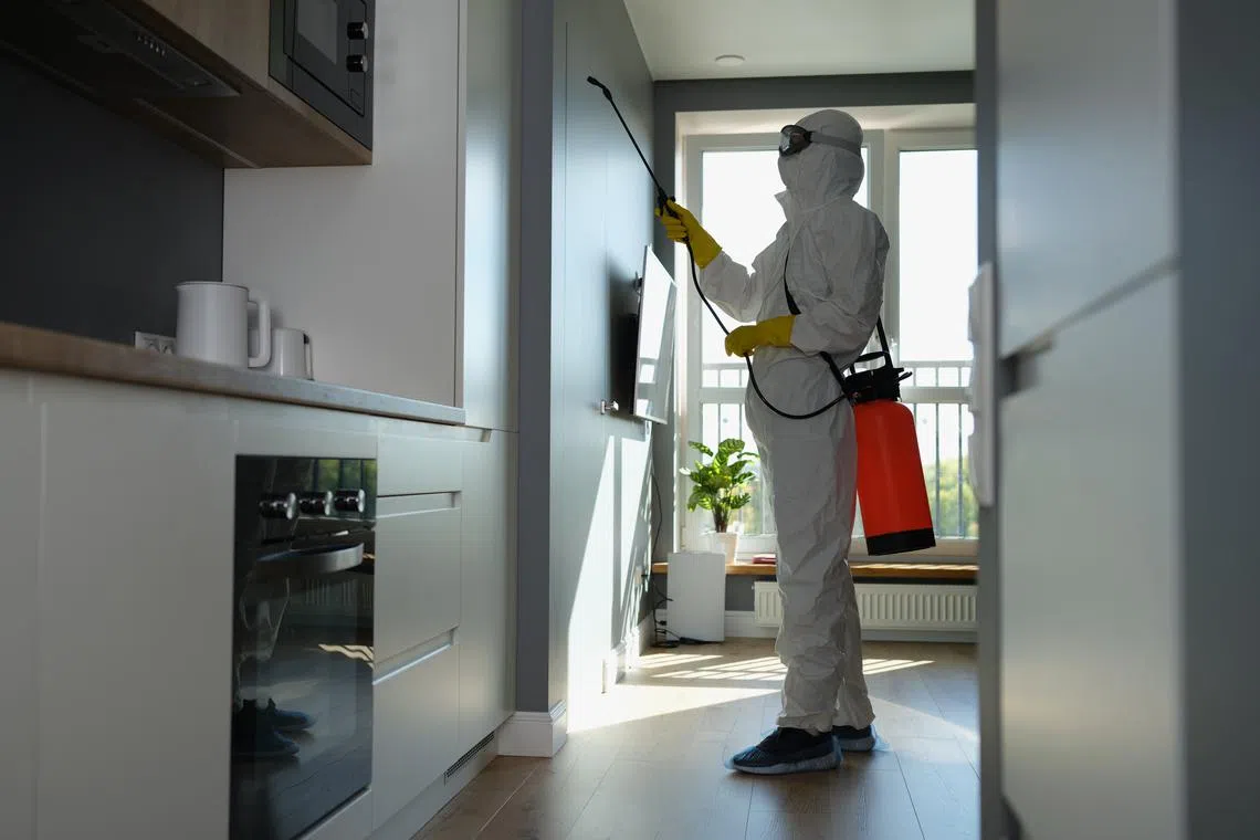 10 Formaldehyde Removal Services in Singapore | Home & Decor Singapore