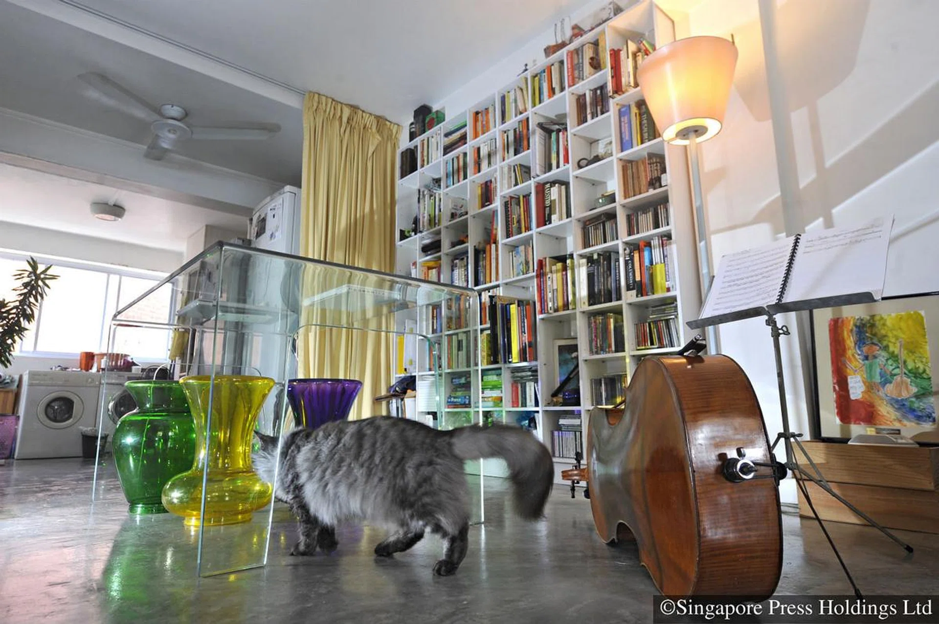 T’ang Quartet Cellist Leslie Tan: Three-Bedroom Holland Ave HDB | Home ...