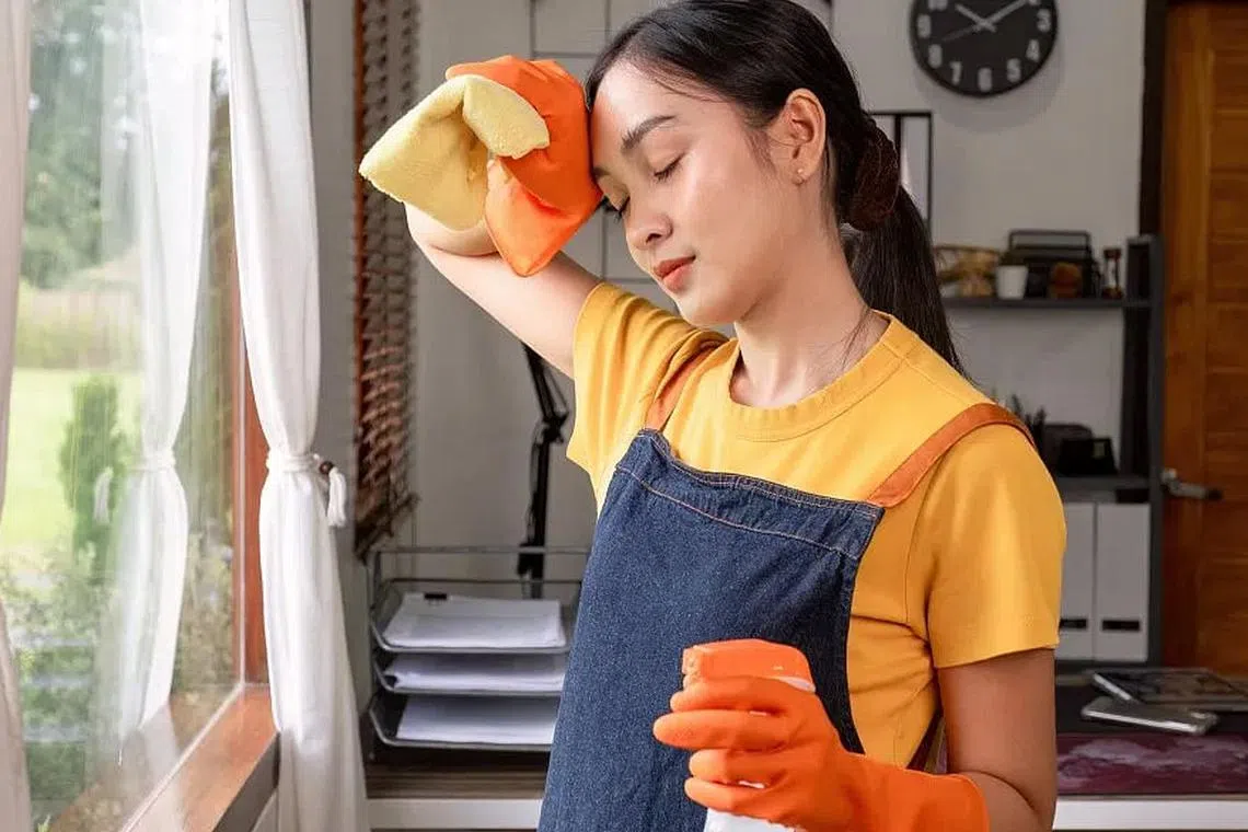 New Maid & Domestic Helper Guide: 12 Steps for introduction! | Home ...