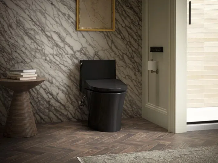 Kohler PureWash E930 Bidet Seat: Smart voice commands | Home & Decor ...