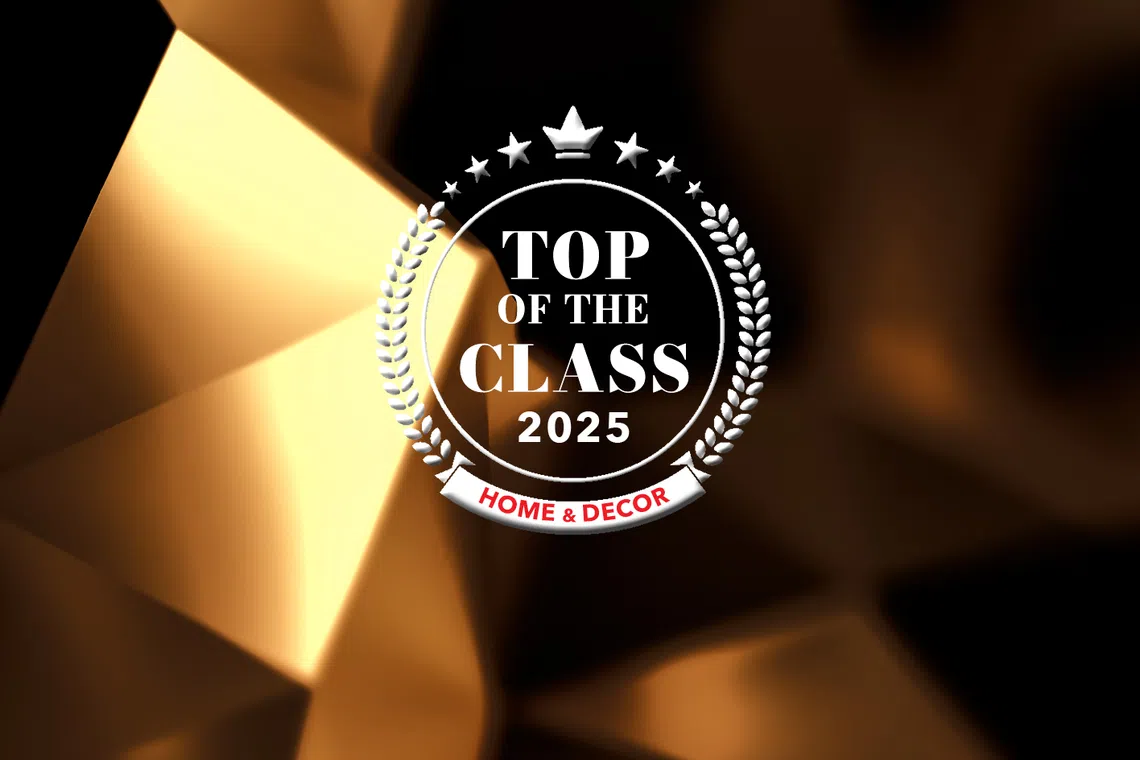 Top of the Class 2025: Top achievers in interior design excellence ...