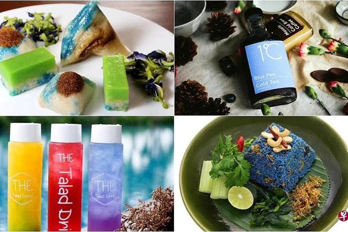 Why the colour blue is now the latest food trend / 蝶豆花为餐饮点染色香 - ICON ...