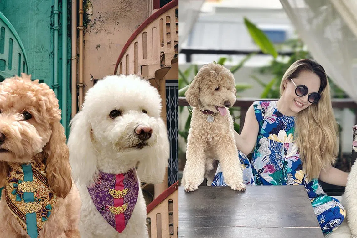 她说成为企业家要先学会做一块“海绵” - NUYOU SINGAPORE《女友》 - 最时尚中文杂志 | NUYOU Singapore