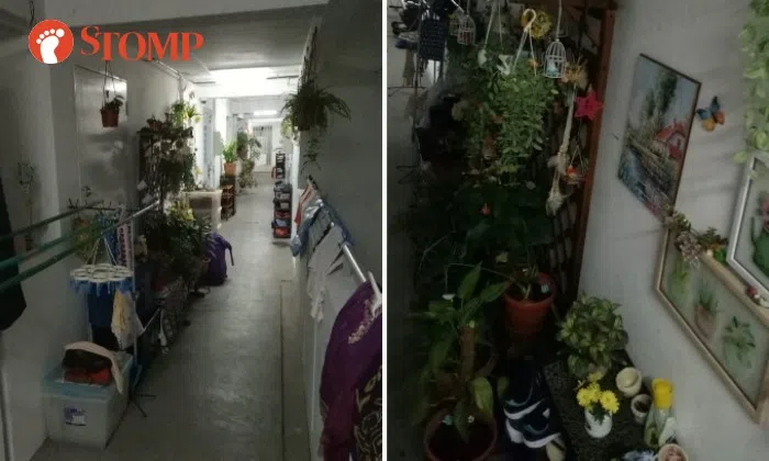 Woodlands resident who cluttered corridor cooperative in clearing items ...