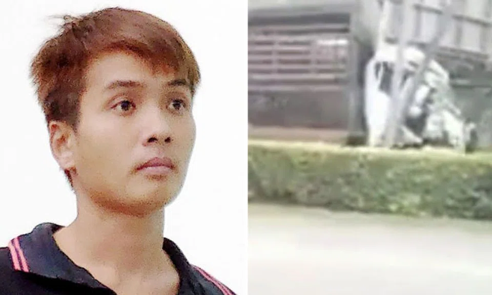 Lorry driver who fled after fatal accident jailed: He drove up to ...