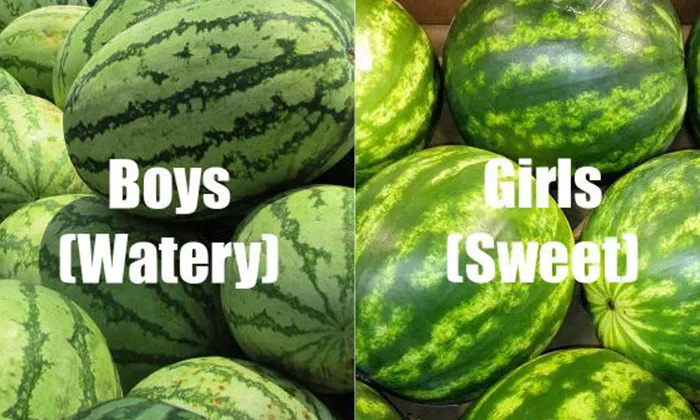 5 tips for picking the perfect watermelon | STOMP