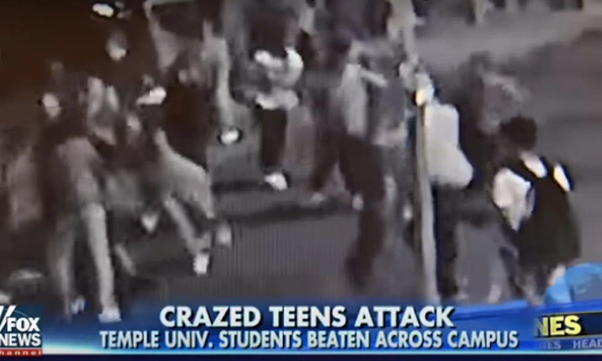 Teen flash mob attack and rob uni students, one police horse punched in ...