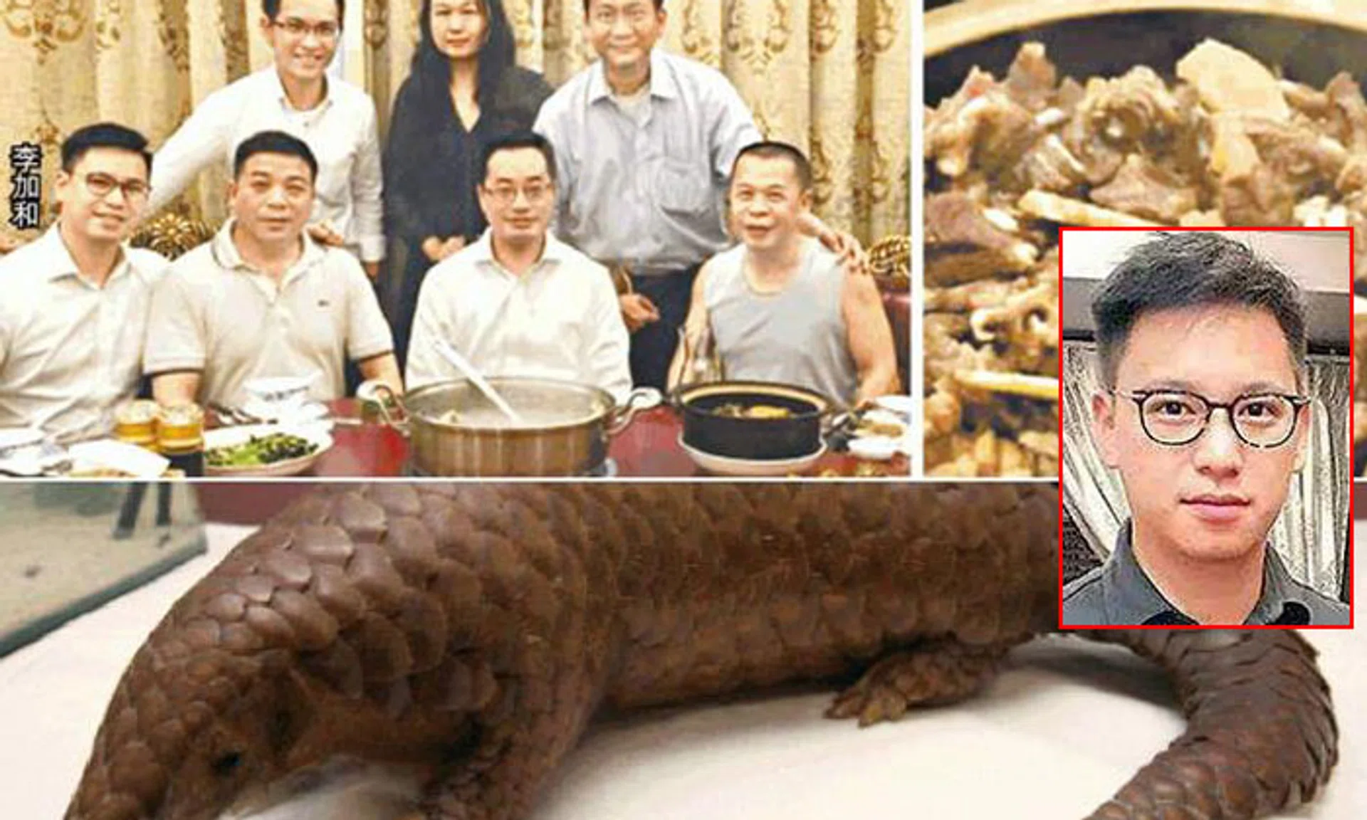 Pangolin dinner attendees identified: HK businessman says 'it tasted ...