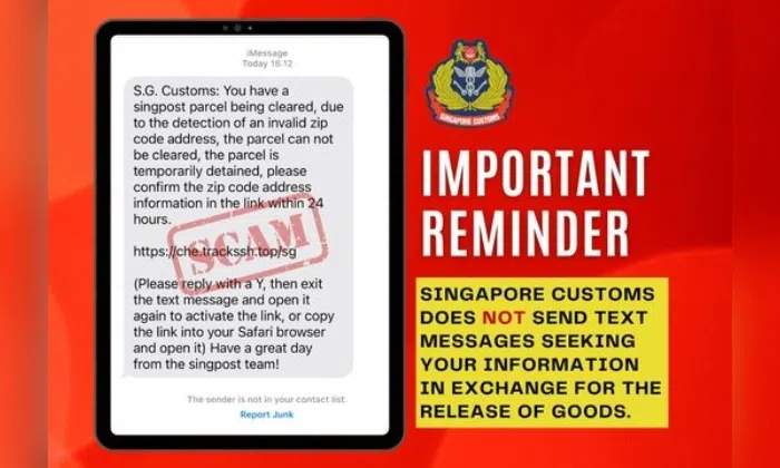 SMS purportedly from S'pore Customs asking for info to clear detained ...