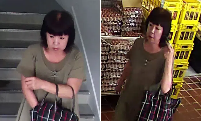 Police looking for woman in relation to theft case at Hougang | STOMP