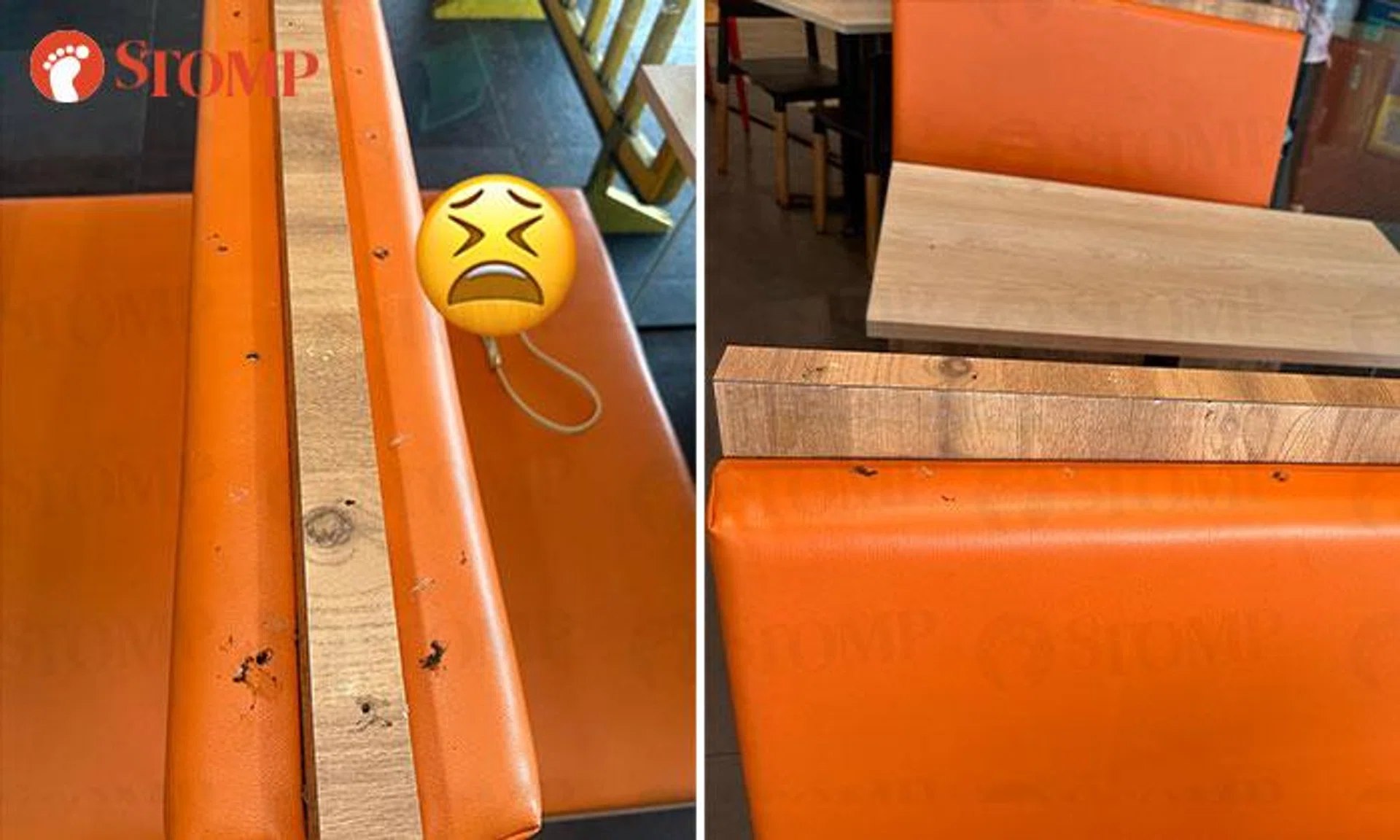 Stomper disgusted to find bird droppings on tables and seats at Popeyes ...