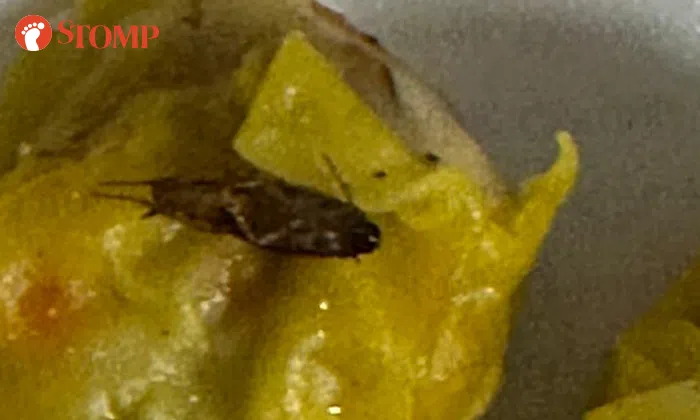 Staff at Choa Chu Kang stall claims cockroach on siew mai is from ...