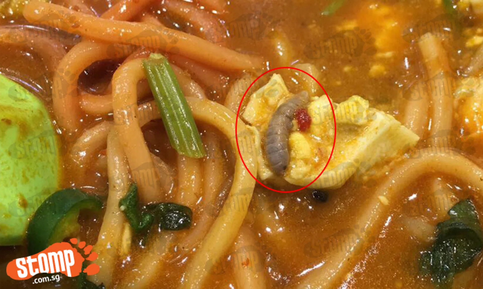 Mee rebus fan throws up after seeing fat, juicy worm in his meal from Compass One food court | STOMP