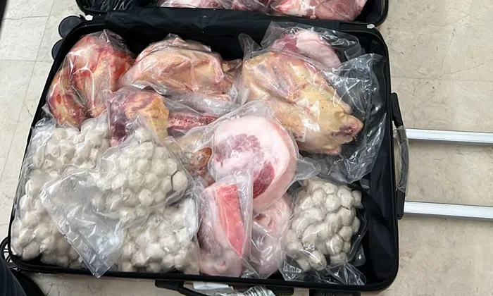 Traveller's luggage had 226kg of meat products such as rabbit and pork ...