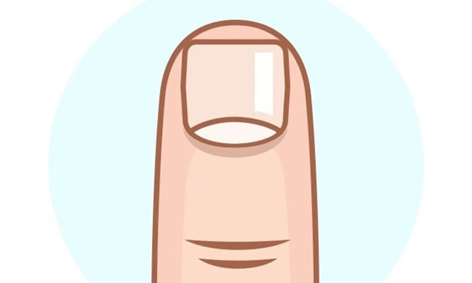 Here's what the shape of your fingernails suggests about your ...