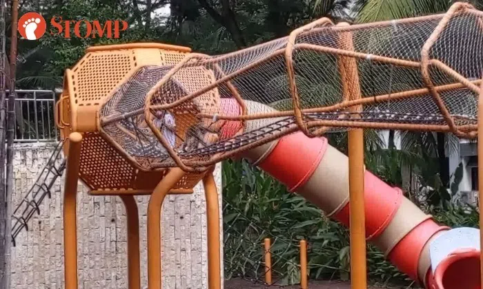 Monkey makes boy scream after getting too close at Woodlands playground ...