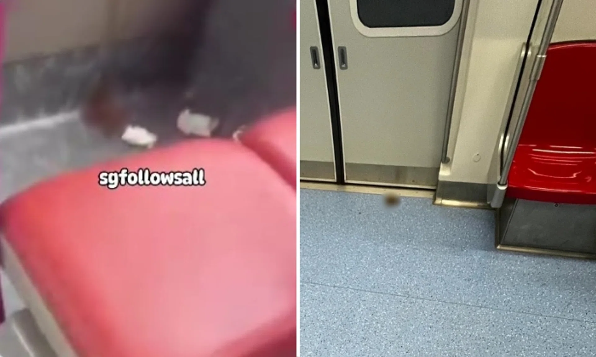 When you got to go while on the go: Commuters find poop on public bus ...