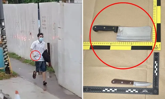 Man charged for attacking 7 people including girl, 6, with chopper and ...