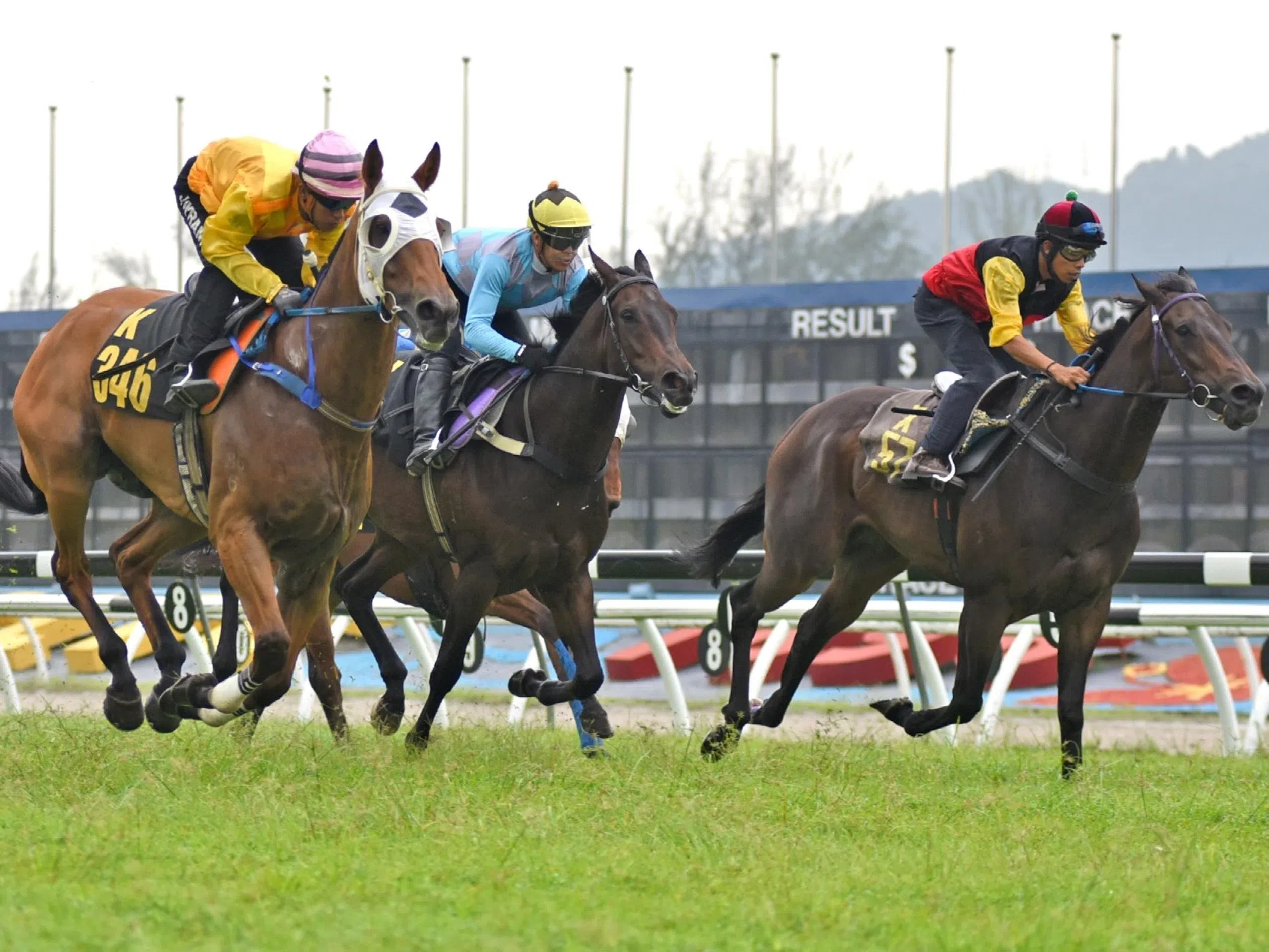 Garudan could make it right for Hamilton | STOMP