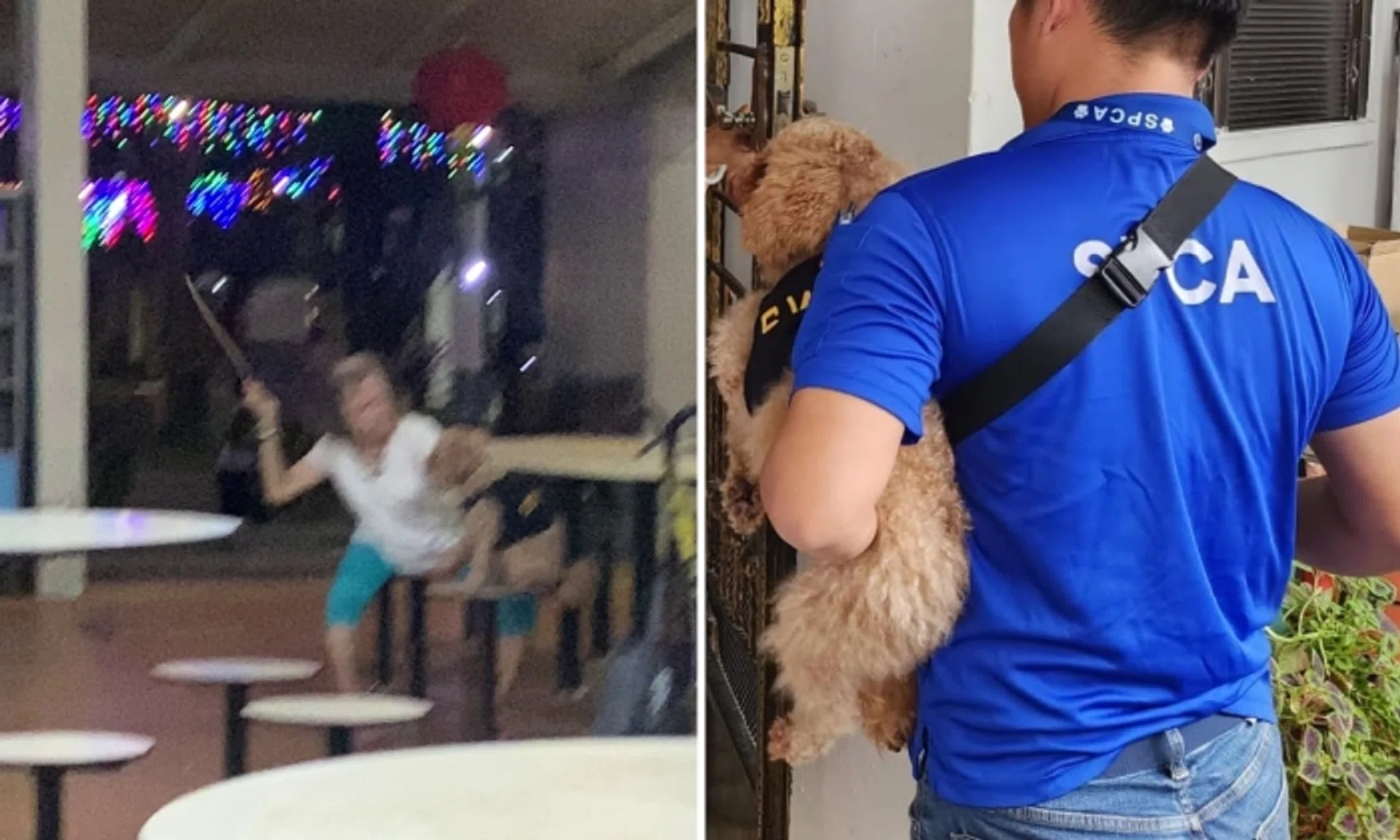 Woman who threatened dog with cane got warning before, pet now safe at ...