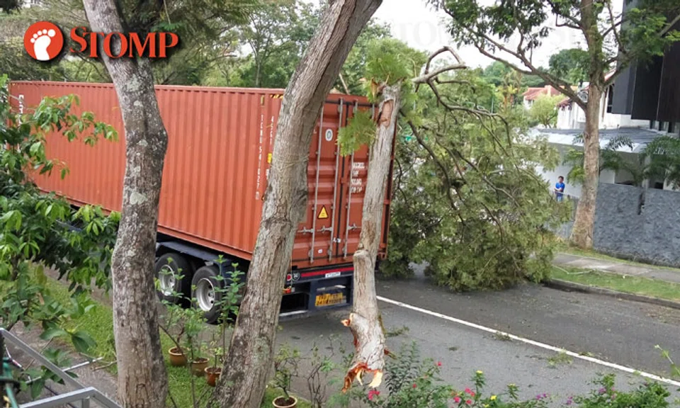 Trailer truck hits tree branch and lamp post after allegedly speeding ...