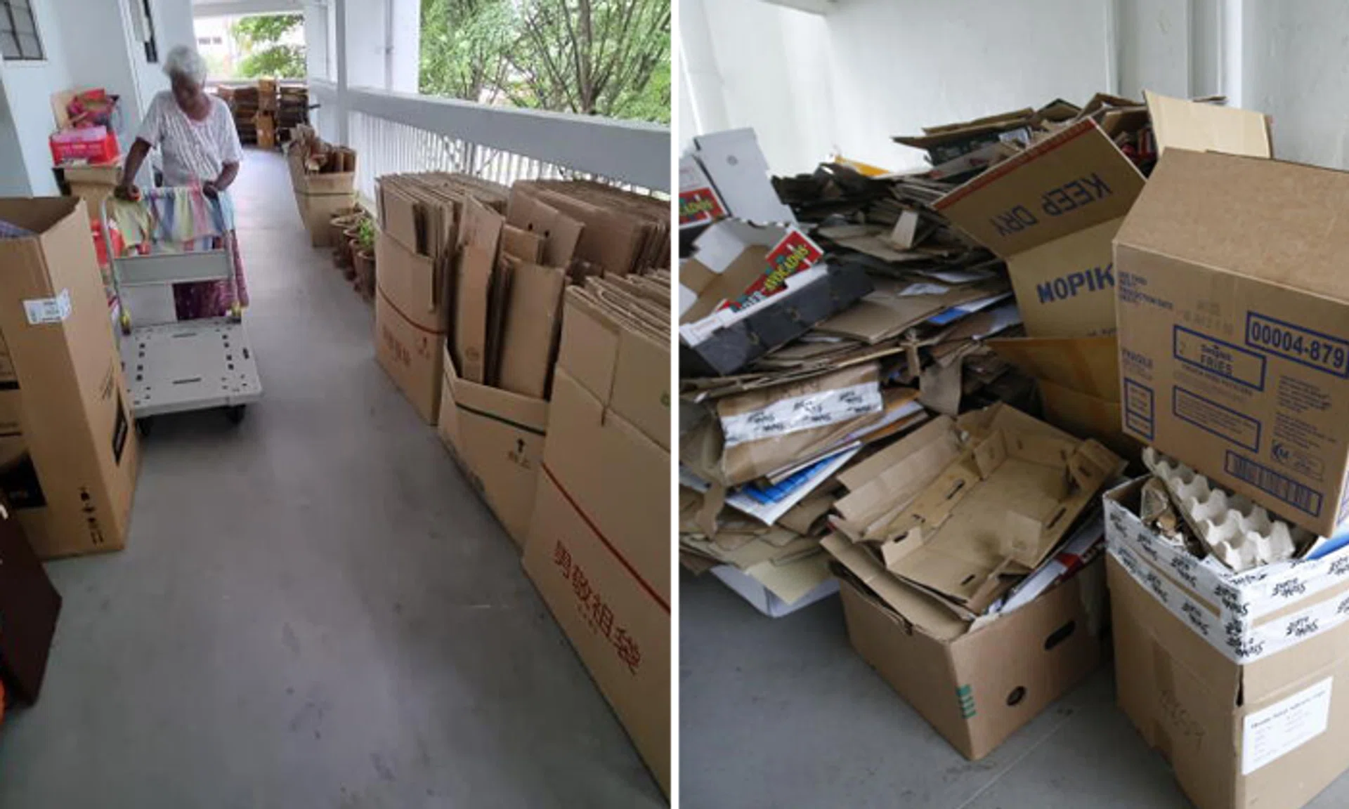 Woman hoarding cardboard at Jurong corridor wants to pass time, earn ...