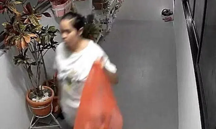 Maid looking after intellectually disabled woman steps out to throw ...